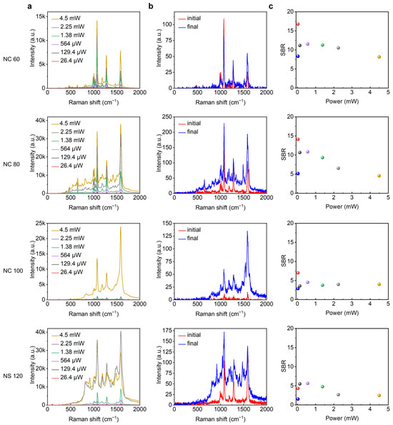 The Geometry of Nanoparticle-on-Mirror Plasmonic Nanocavities Impacts Surface-Enhanced Raman ...