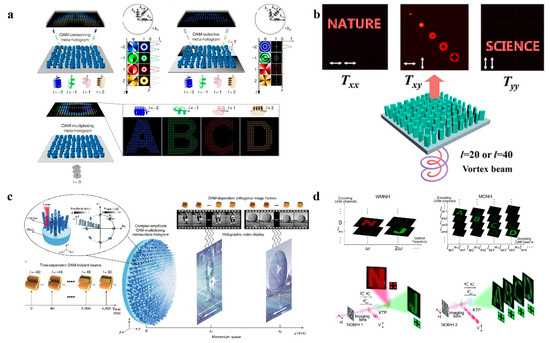 Metasurface Holography with Multiplexing and Reconfigurability