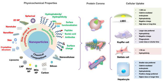 Liver-Targeting Nanoplatforms for the Induction of Immune Tolerance