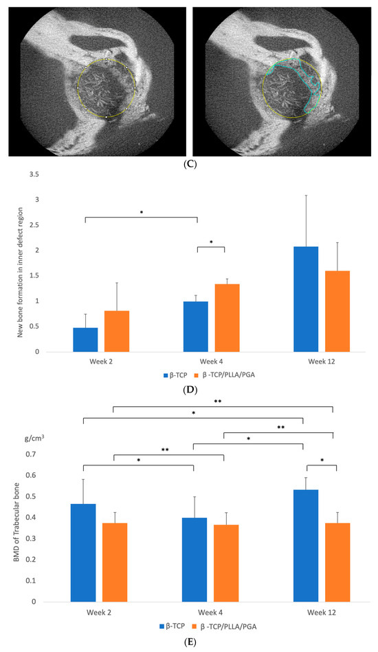 In Vivo Evaluation of Bone Regenerative Capacity of the Novel ...