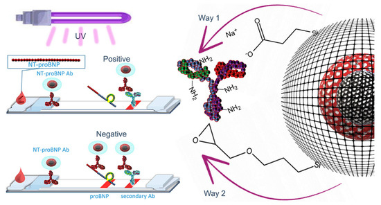 Advanced Nanomaterial-Based Biosensors for N-Terminal Pro-Brain ...