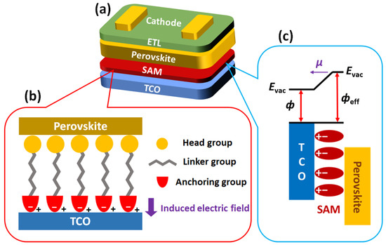 Nanomaterials | Free Full-Text | Self-Assembled Monolayer-Based Hole-Transporting Materials for ...