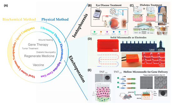 Tissue Nanotransfection Silicon Chip and Related Electroporation-Based ...