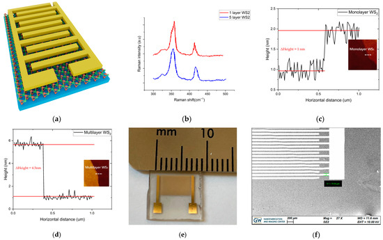Layer-Dependent Sensing Performance of WS2-Based Gas Sensors