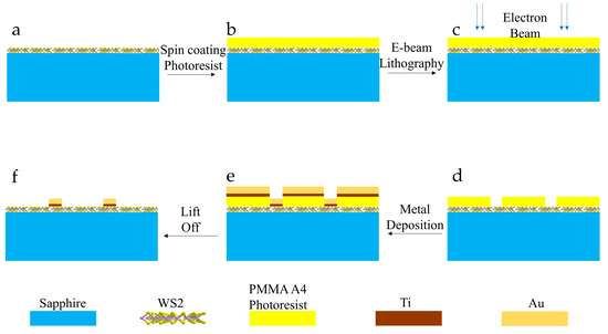 Layer-Dependent Sensing Performance of WS2-Based Gas Sensors