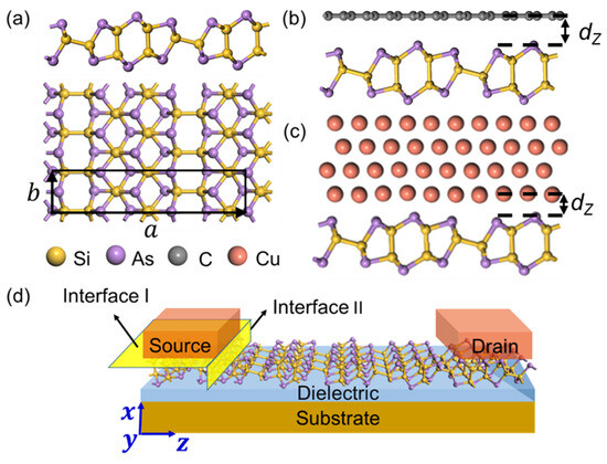 Interfacial Properties of Anisotropic Monolayer SiAs Transistors