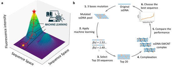 Directed Evolution of Near-Infrared Serotonin Nanosensors with Machine ...