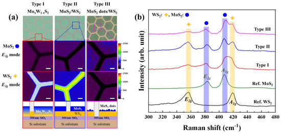 Tailored Synthesis of Heterogenous 2D TMDs and Their Spectroscopic ...