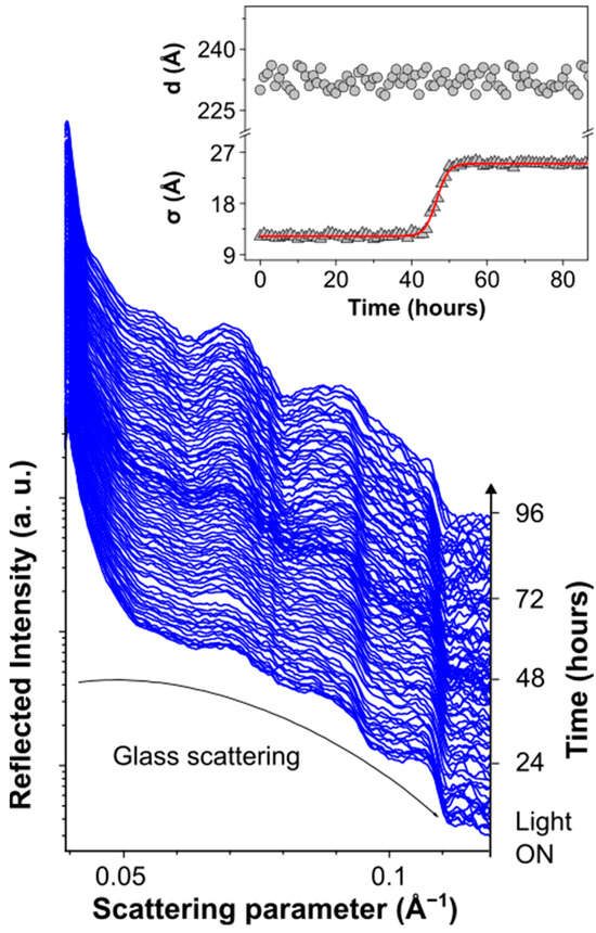 Semitransparent Organic Photovoltaic Devices: Interface/Bulk Properties and Stability Issues