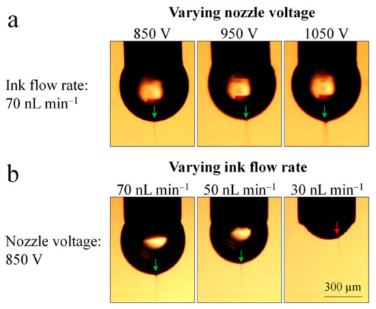 On the Stability of Electrohydrodynamic Jet Printing Using Poly ...