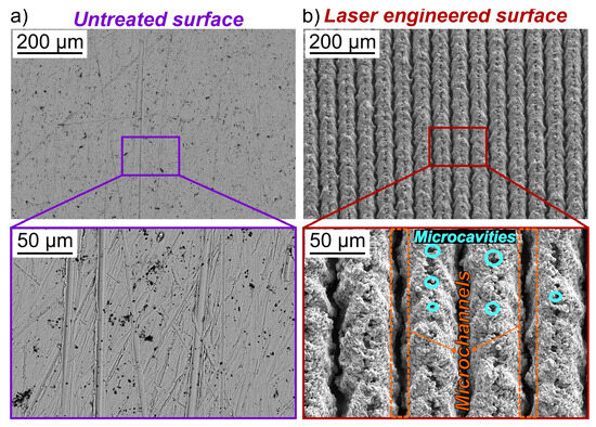 Effect of Surface Wettability on Nanoparticle Deposition during Pool ...