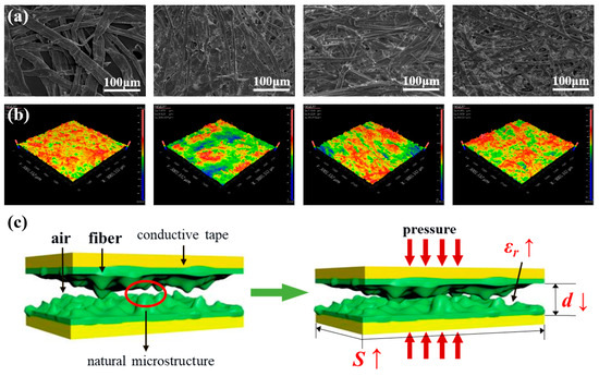 Highly Sensitive Paper-Based Force Sensors with Natural Micro-Nanostructure Sensitive Element