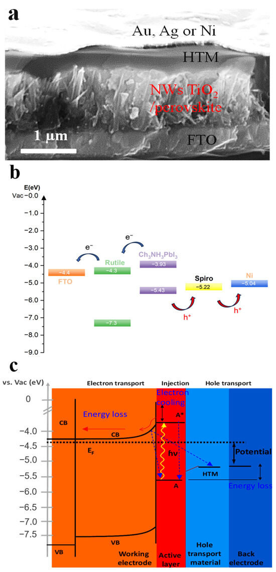 Progress and Application of Halide Perovskite Materials for Solar Cells and Light Emitting Devices