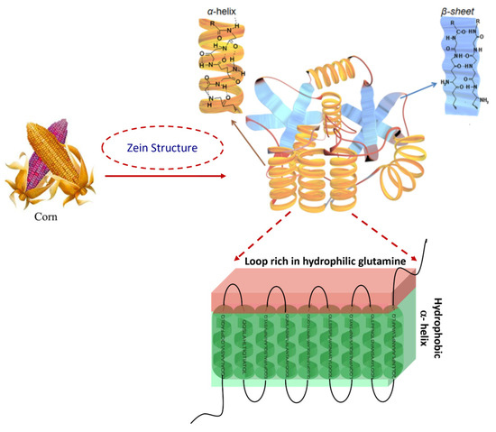 Zein-Based Nanoparticles as Active Platforms for Sustainable ...