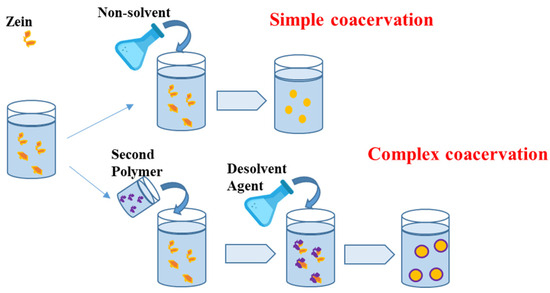 Zein-Based Nanoparticles as Active Platforms for Sustainable ...