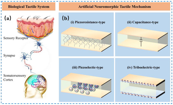Recent Advances in Tactile Sensory Systems: Mechanisms, Fabrication ...