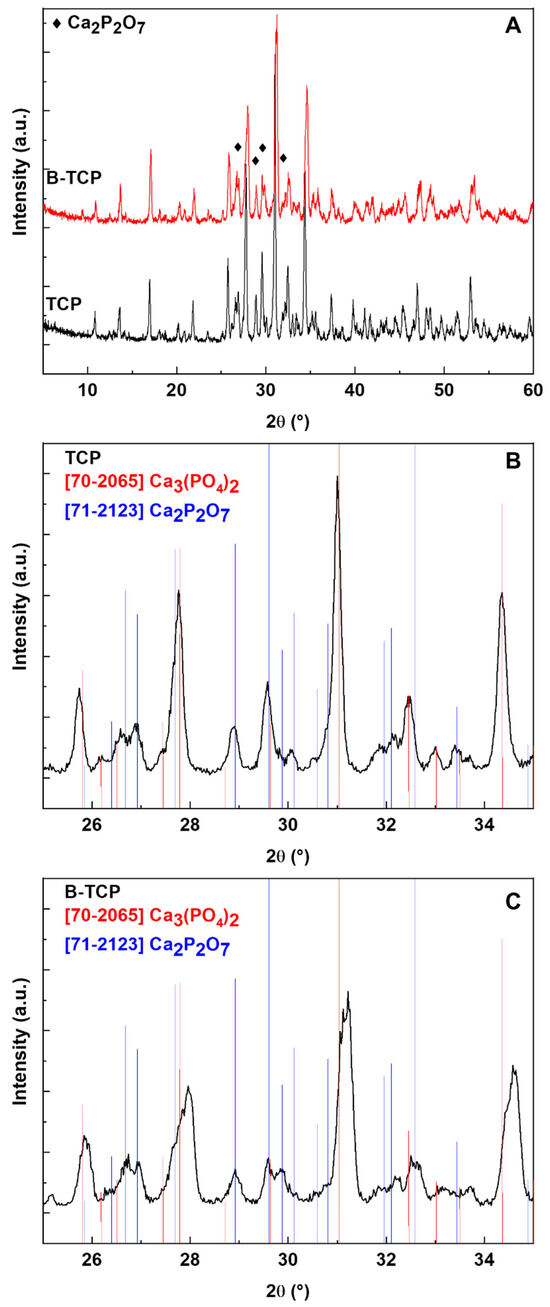 Exploring Borate-Modified Calcium Phosphate Ceramics: Antimicrobial ...