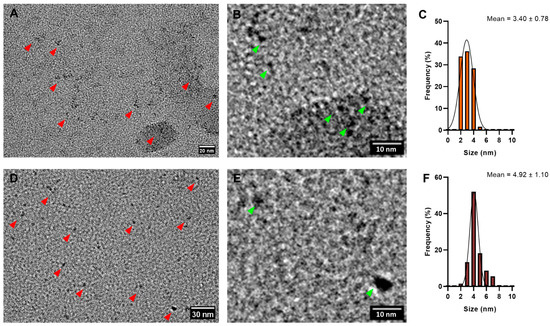 Biosynthesis of Cu-In-S Nanoparticles by a Yeast Isolated from Union ...