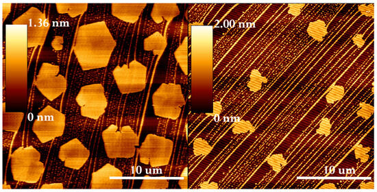Nanoscale Structure of Lipid–Gemini Surfactant Mixed Monolayers ...