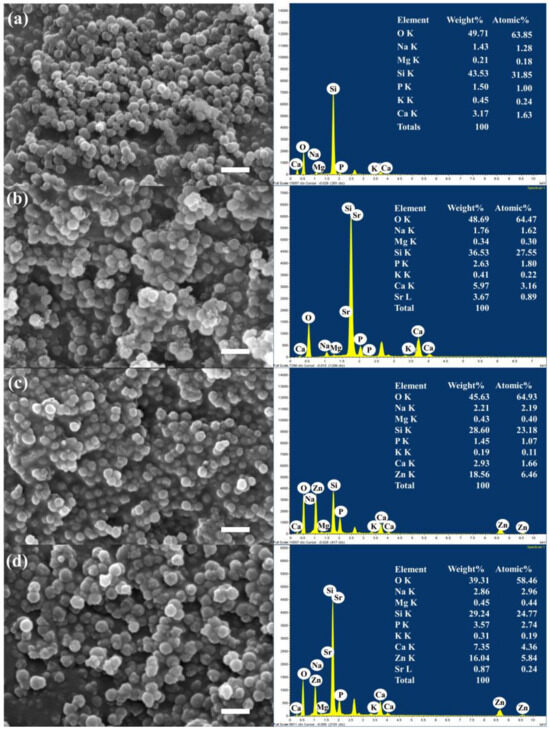 Nanomaterials | Free Full-Text | Strontium and Zinc Co-Doped Mesoporous Bioactive Glass ...