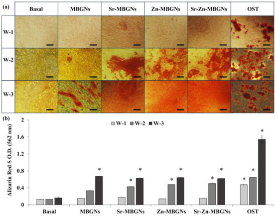 Nanomaterials | Free Full-Text | Strontium and Zinc Co-Doped Mesoporous Bioactive Glass ...