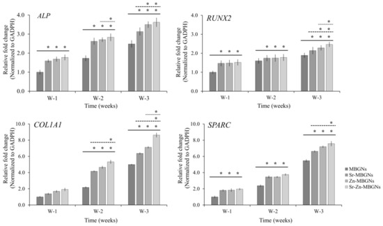 Nanomaterials | Free Full-Text | Strontium and Zinc Co-Doped Mesoporous Bioactive Glass ...