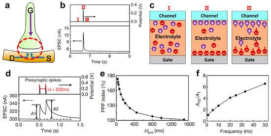 Oxide Ionic Neuro-Transistors for Bio-inspired Computing