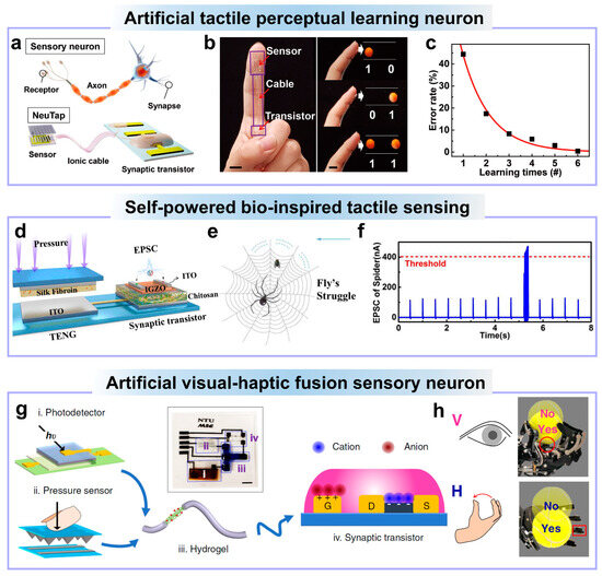 Oxide Ionic Neuro-Transistors for Bio-inspired Computing