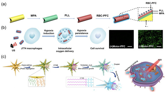 Autonomous Nanorobots as Miniaturized Surgeons for Intracellular ...