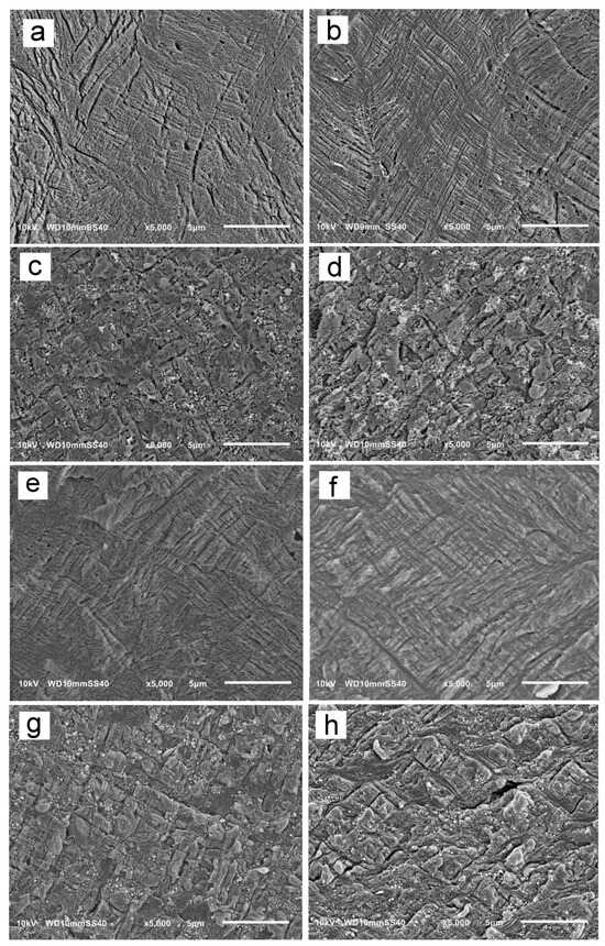 Nanomaterials | Free Full-Text | Structure and Mechanical Properties of ...