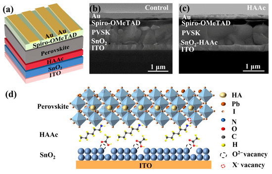 Hexylammonium Acetate-Regulated Buried Interface for Efficient and Stable Perovskite Solar Cells