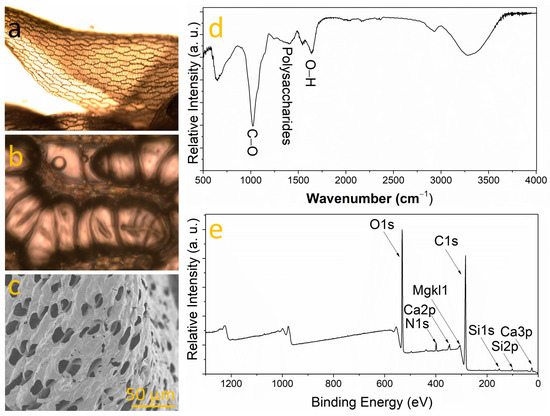 Bryophyte-Bioinspired Nanoporous AAO/C/MgO Composite for Enhanced CO2 ...