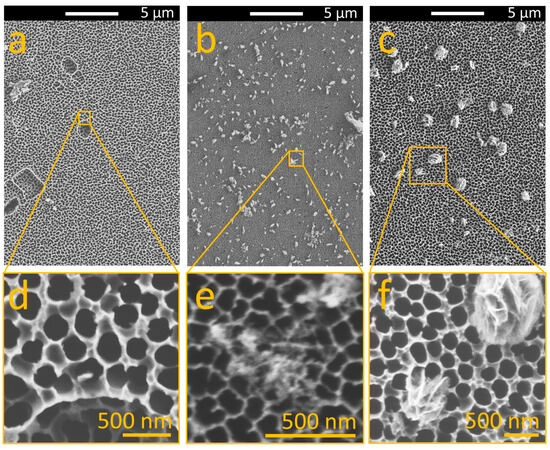Bryophyte-Bioinspired Nanoporous AAO/C/MgO Composite for Enhanced CO2 ...