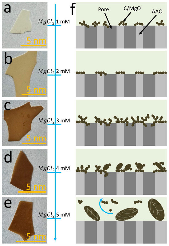 Bryophyte-Bioinspired Nanoporous AAO/C/MgO Composite for Enhanced CO2 ...