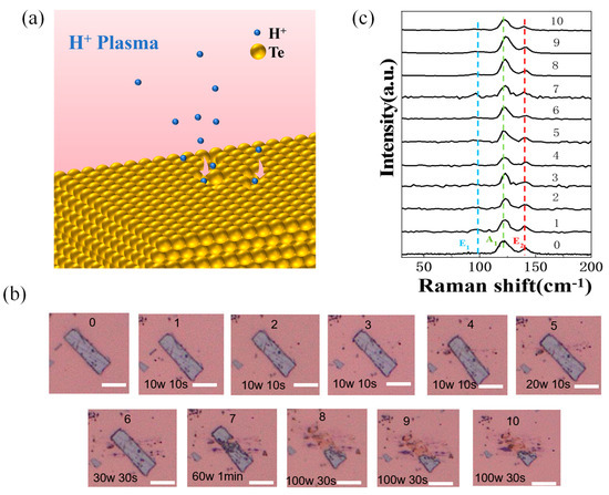 Evolution of the Electronic Properties of Tellurium Crystals with ...