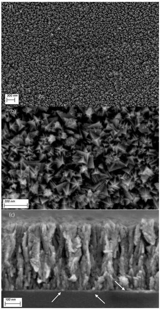 Oxygen Defects Containing TiN Films for the Hydrogen Evolution Reaction ...