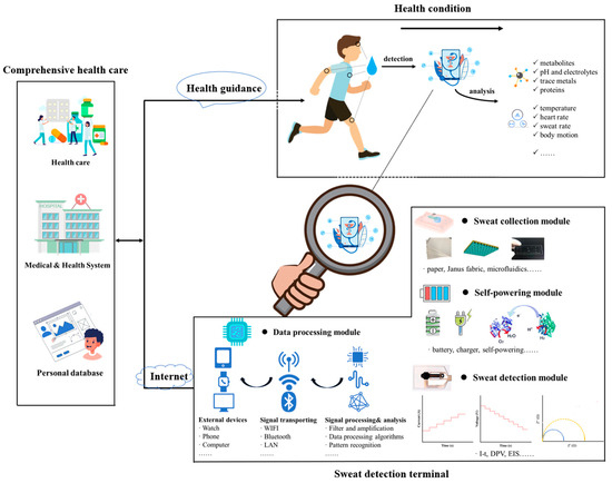 Innovative Material-Based Wearable Non-Invasive Electrochemical Sweat Sensors towards Biomedical ...