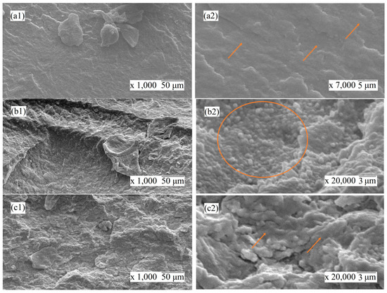 PVDF Hybrid Nanocomposites with Graphene and Carbon Nanotubes and Their ...