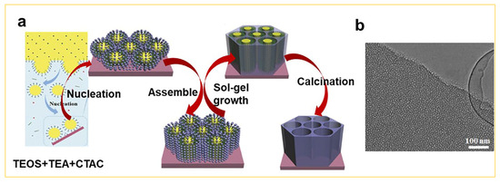 Synthesis of Mesoporous Silica Using the Sol–Gel Approach: Adjusting Architecture and ...