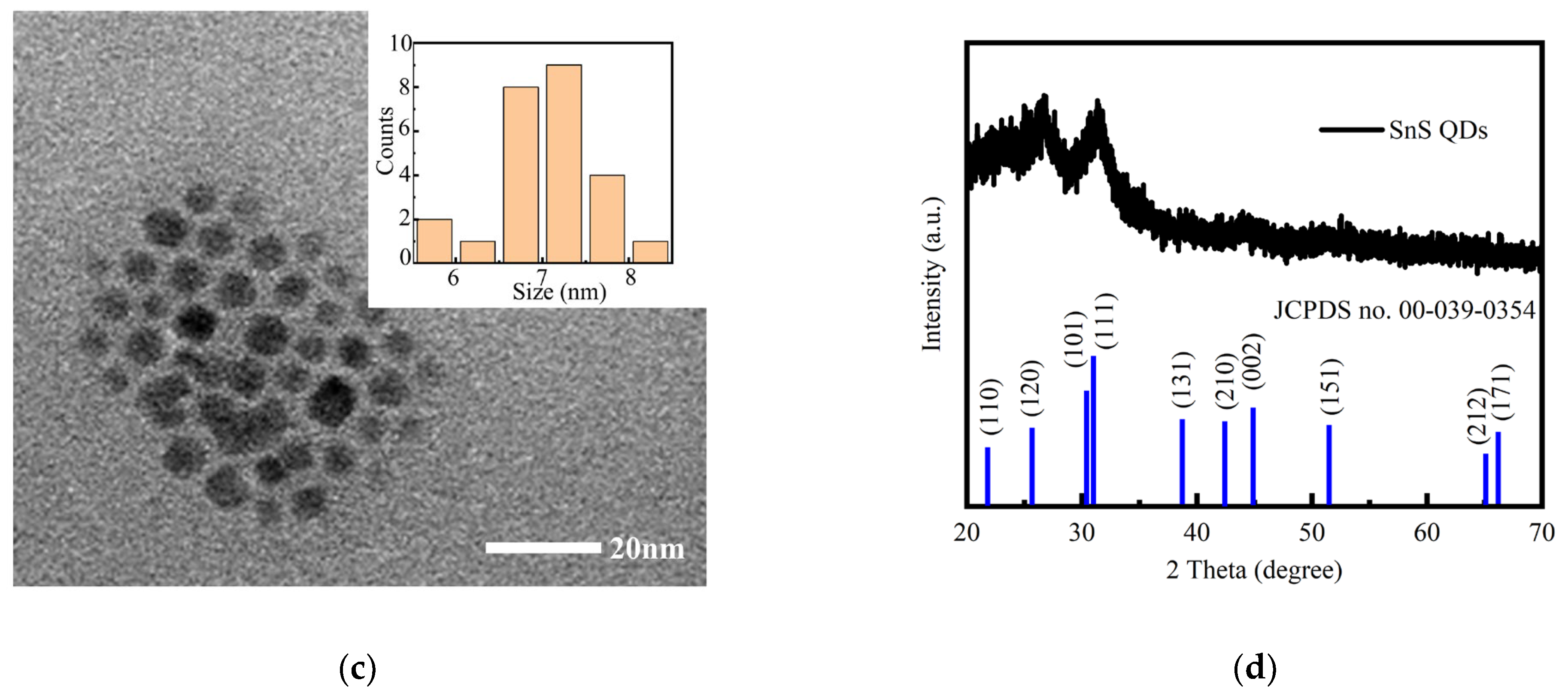 SnS Quantum Dots Enhancing Carbon-Based Hole Transport Layer-Free Visible Photodetectors