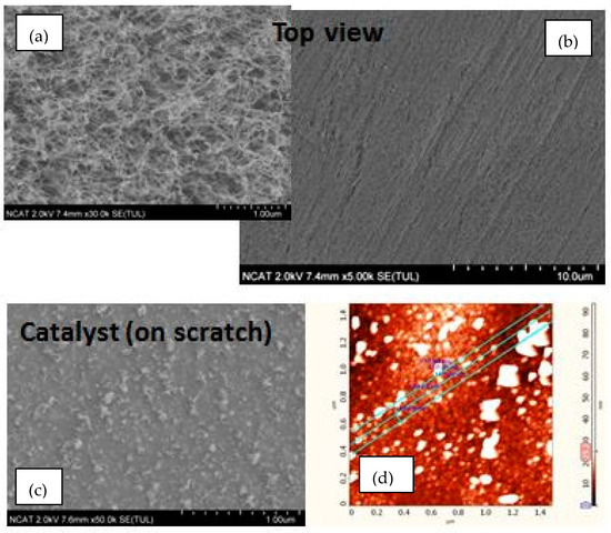 Nanoimprint Lithography for Next-Generation Carbon Nanotube-Based Devices