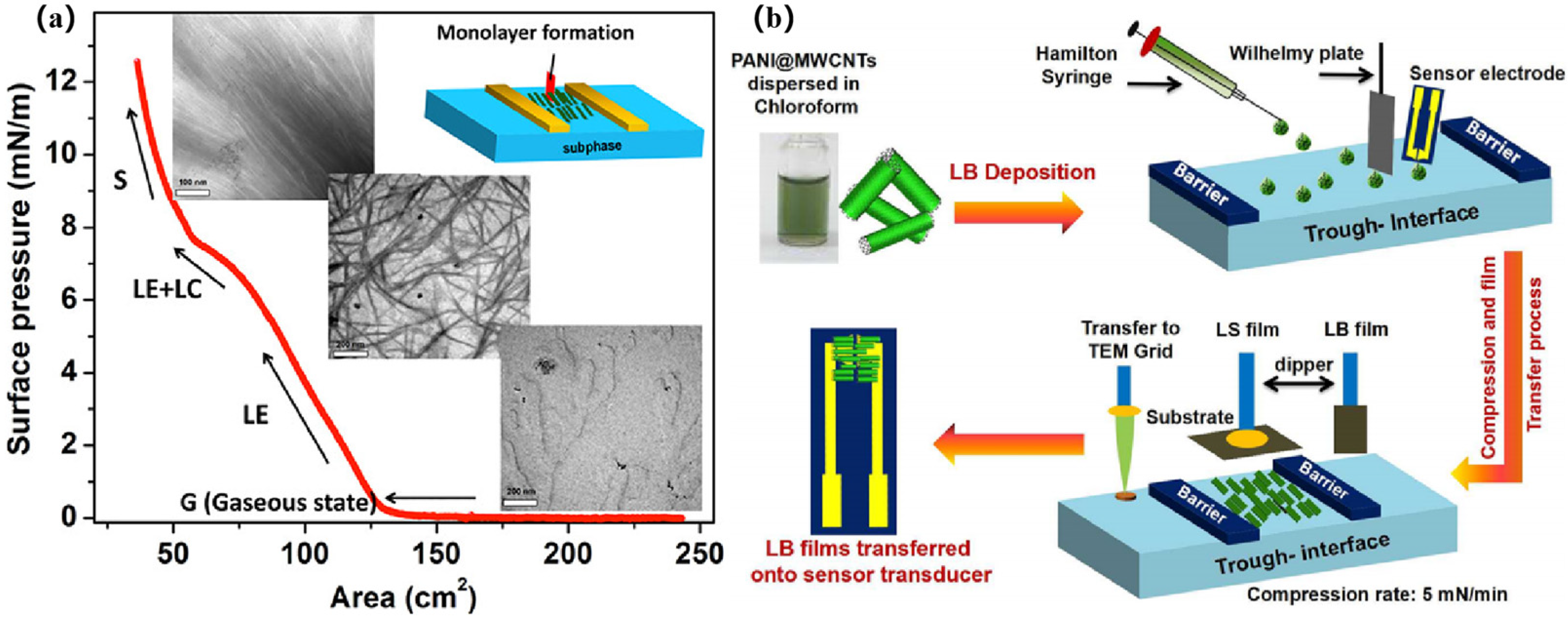 Recent Progress in the Applications of Langmuir–Blodgett Film Technology