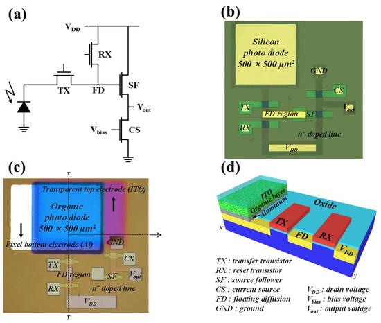 Hybrid Organic–Si C-MOSFET Image Sensor Designed with Blue-, Green ...