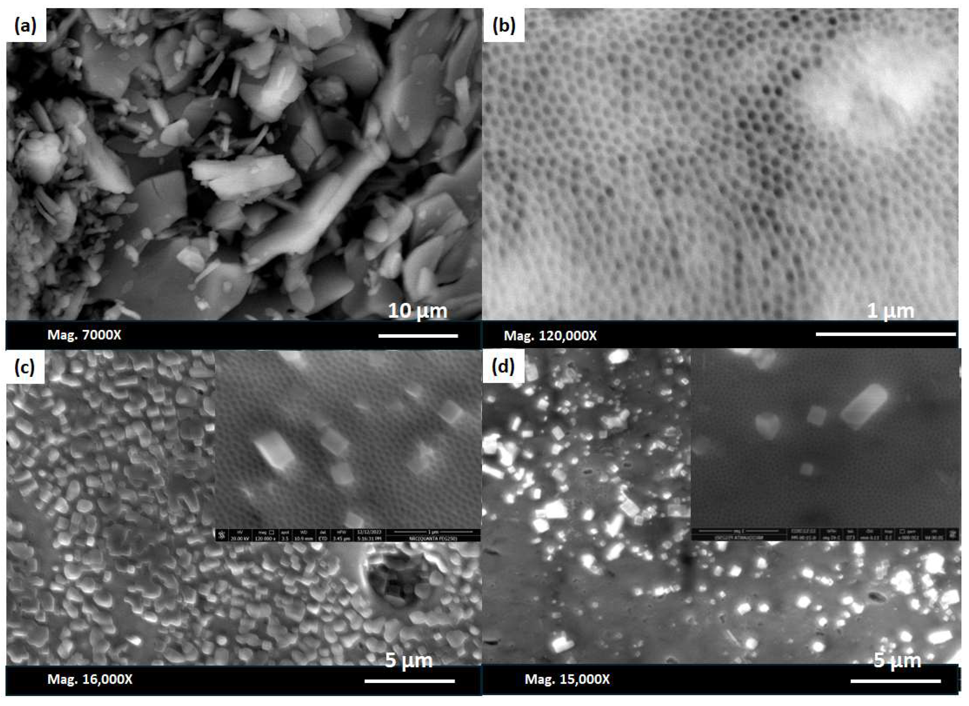 Fabrication and Optimisation of Alumina Nanoporous Membranes for Drug ...