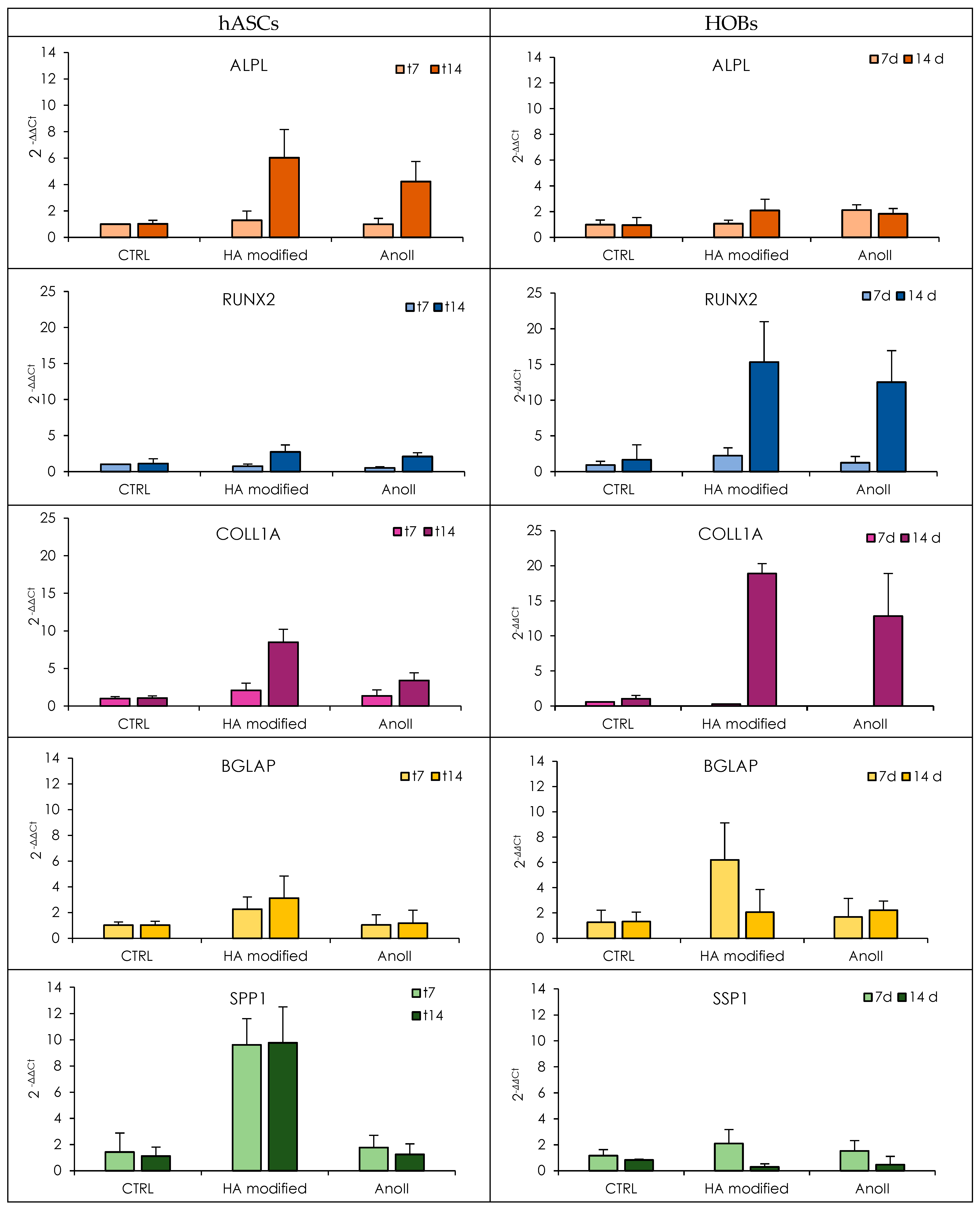 Hydroxyapatite-Coated Ti6Al4V ELI Alloy: In Vitro Cell Adhesion