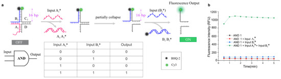 Nanomaterials | Free Full-Text | Fluorescence-Based Multimodal DNA ...