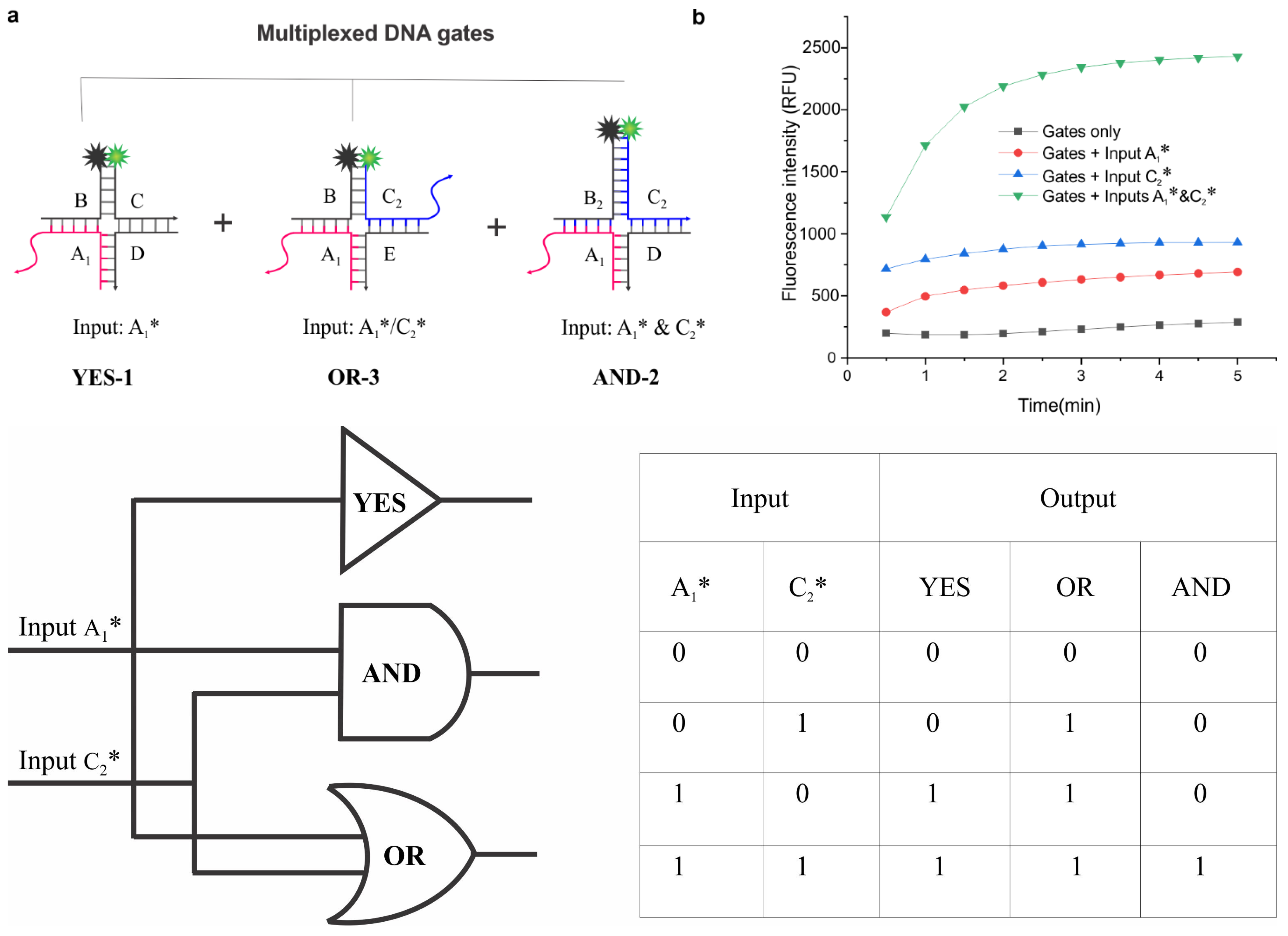 Nanomaterials | Free Full-Text | Fluorescence-Based Multimodal DNA ...