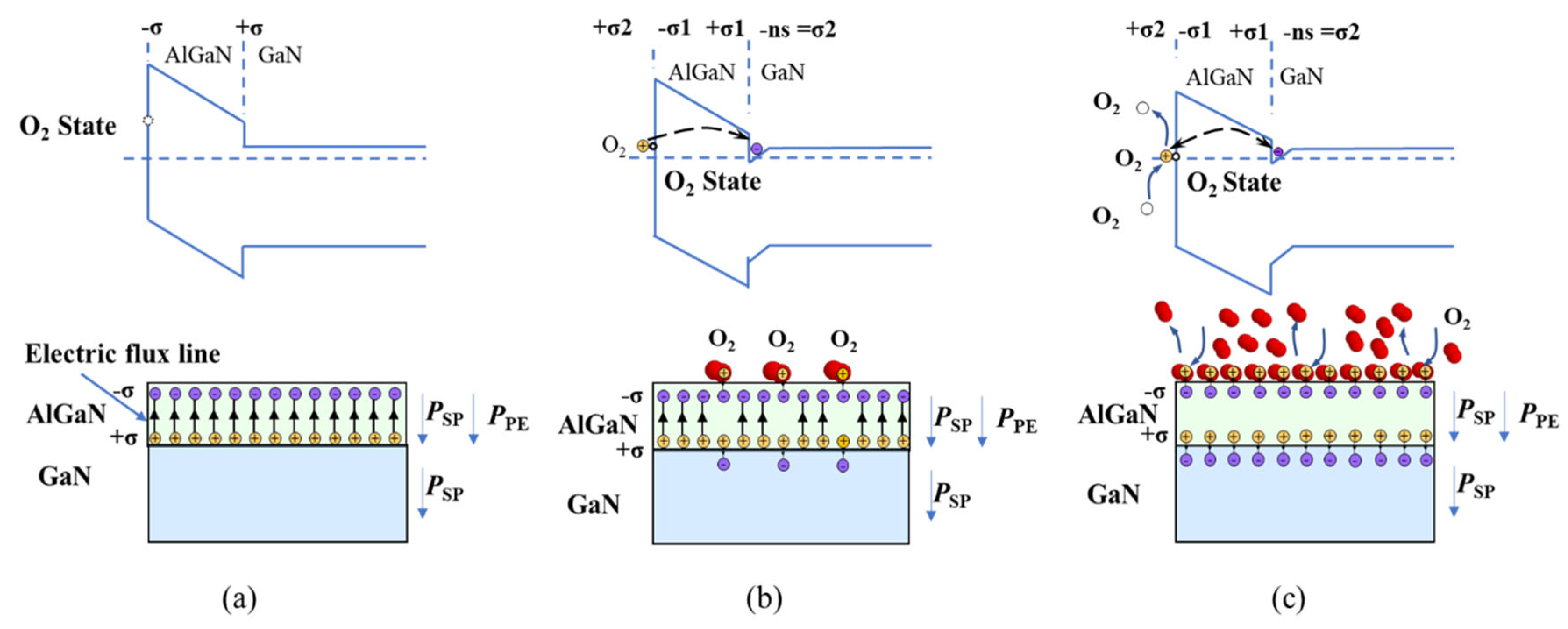 The Dynamic Modulation Doping Effect of Gas Molecules on an AlGaN/GaN ...