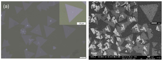 Nanomaterials | Free Full-Text | Growth of Monolayer MoS2 Flakes via ...