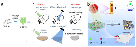 Carbon Dots in Photodynamic/Photothermal Antimicrobial Therapy